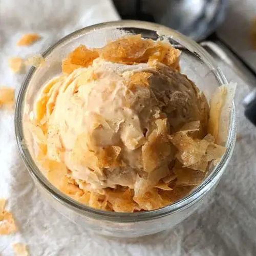 10-Minute Salted Caramel Ripple Ice Cream – YumYumBite